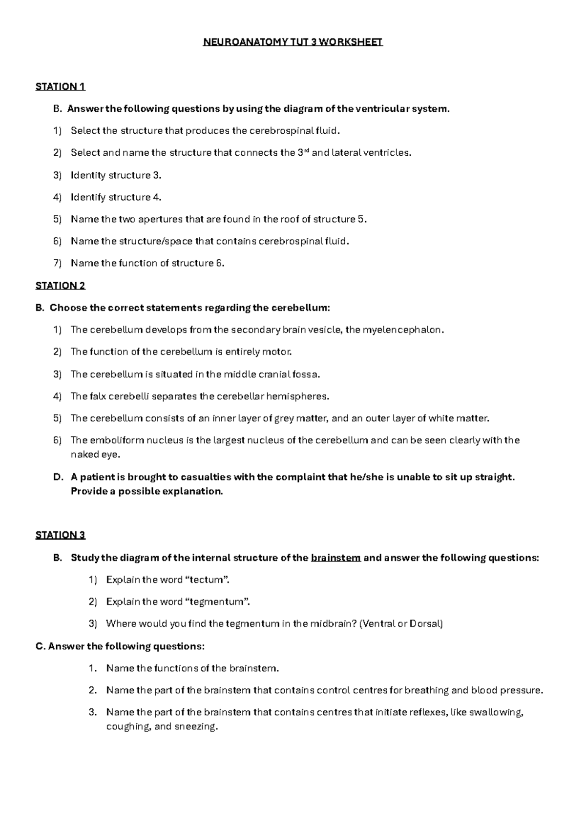 NEUROANATOMY TUT 3 WORKSHEET: VENTRICULAR SYSTEM & CEREBELLUM - Studocu