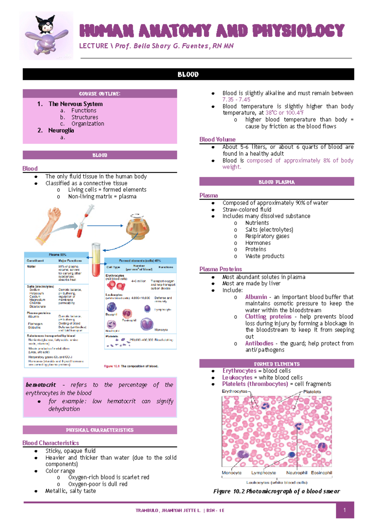 Blood MC 1 LEC: Overview of Blood Anatomy and Physiology - Studocu