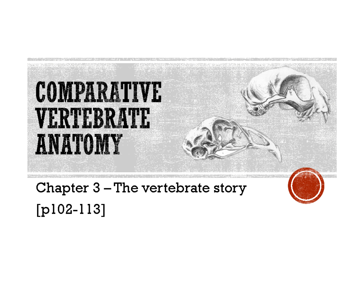 ECL201 Final Exam: Lecture 6 - Vertebrate Evolution and Adaptations ...