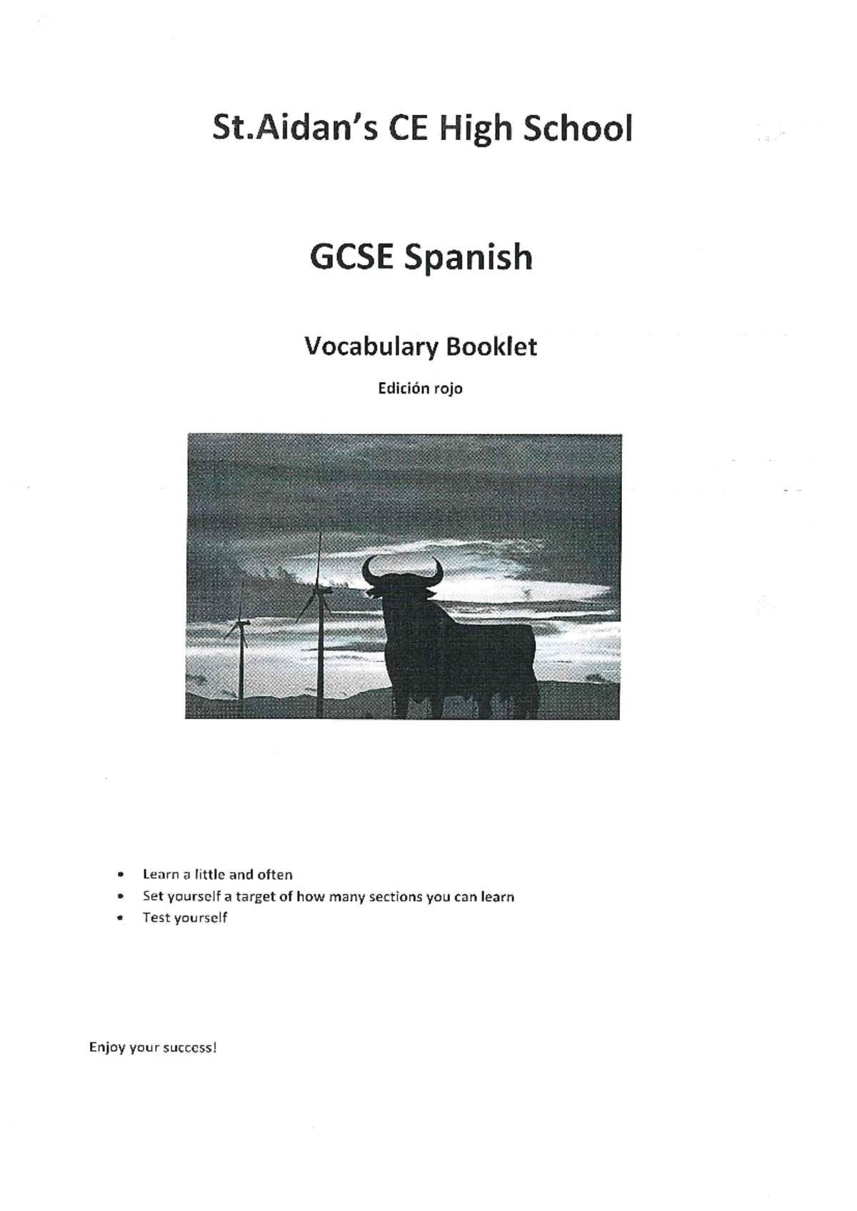 Complex structures for spanish GCSE - Complex Structures for Spanish ...