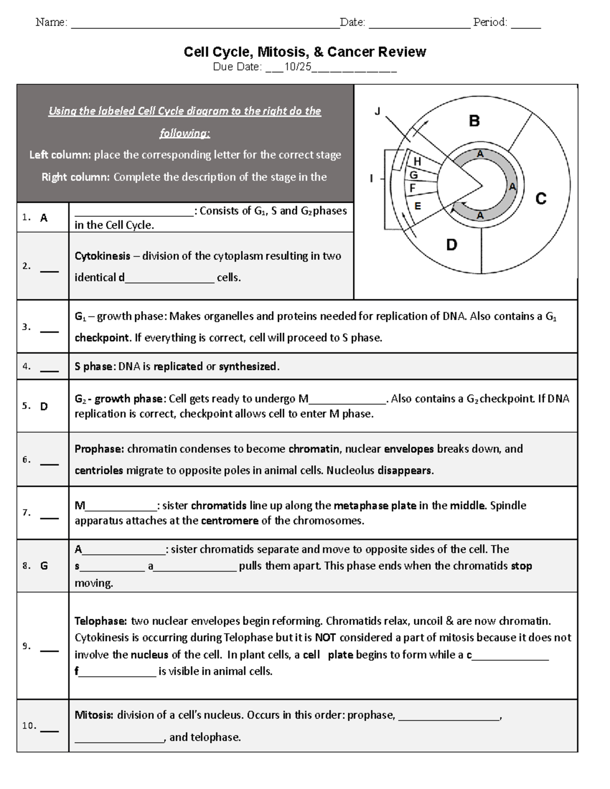 Cell Cycle & Mitosis Review Worksheet for Exam Preparation - Studocu