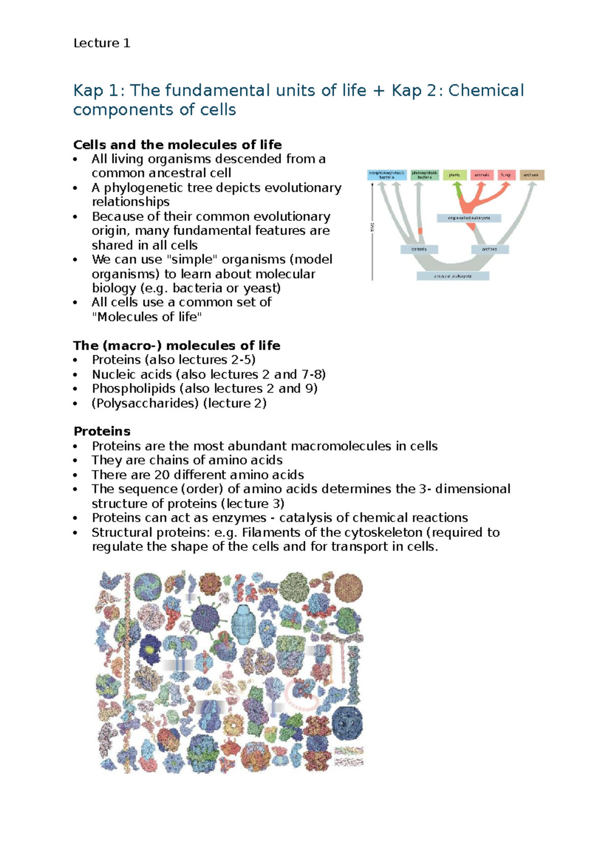 Lecture 1: Fundamental Units of Life and Cellular Components - Studocu