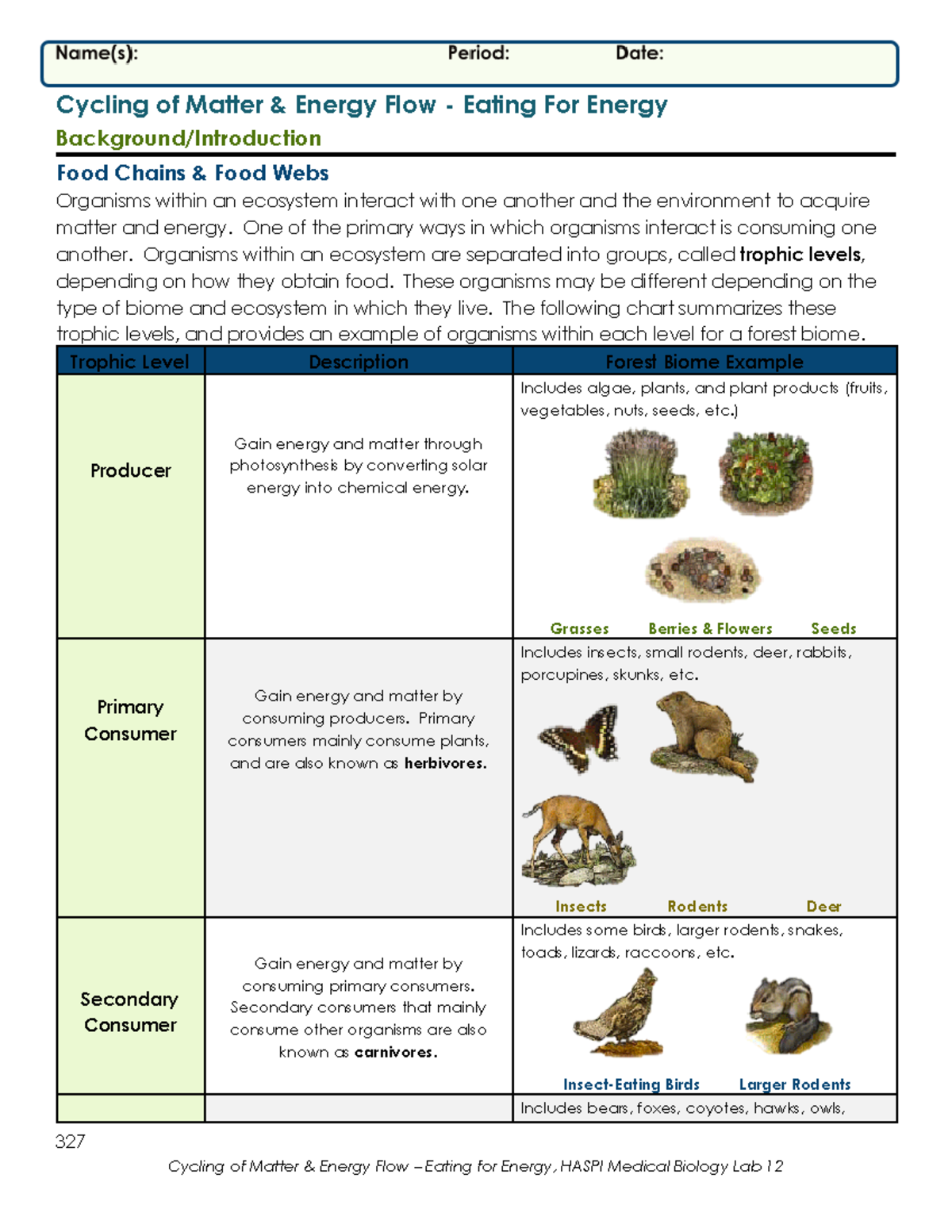 12a cycling of matter energy flow Reading material and questions ...