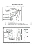 Agricultural Sciences Grade 12: Animal Reproduction Study Notes - Studocu