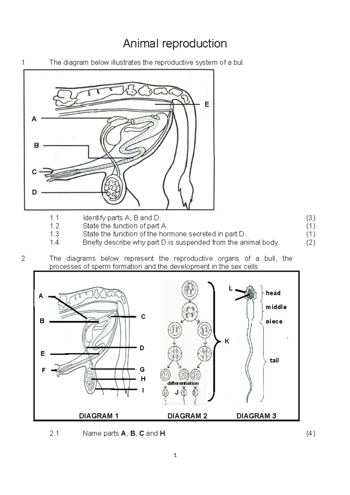 Agricultural Sciences Grade 12: Animal Reproduction Study Notes - Studocu