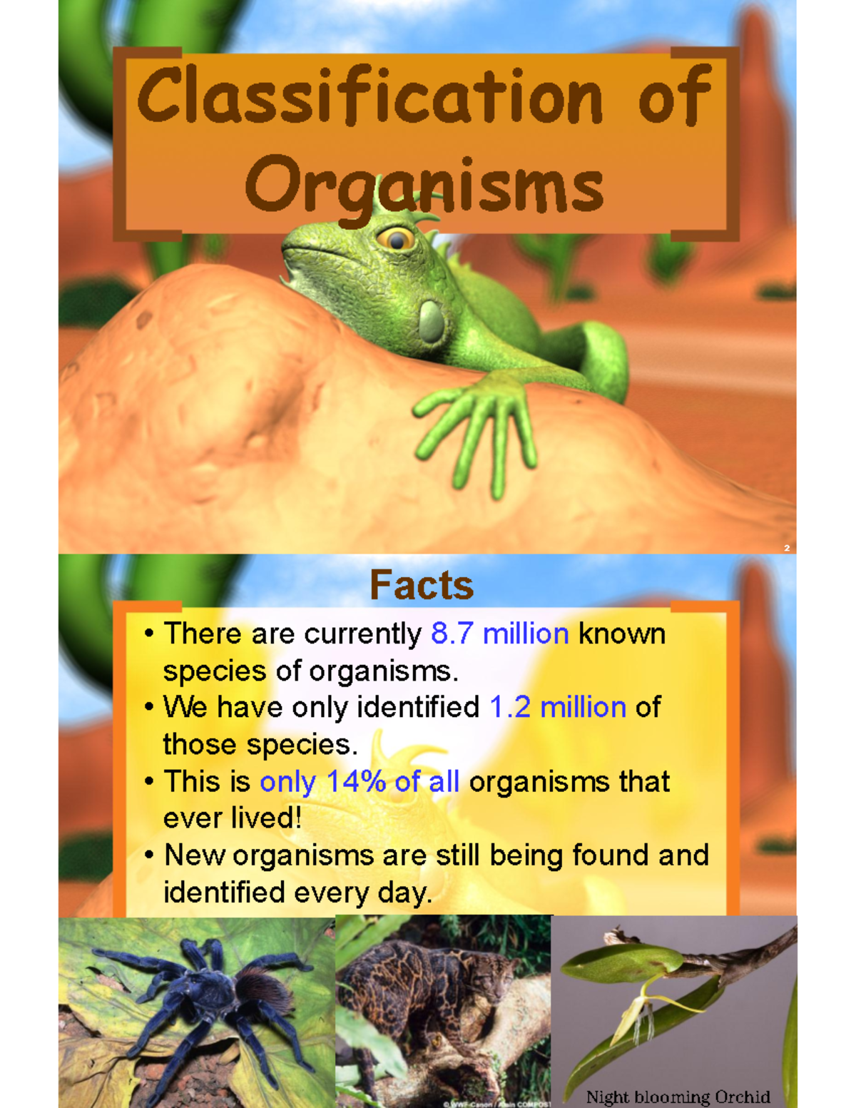 2023 Classification Part 1 - 2 Classification of Organisms • There are ...