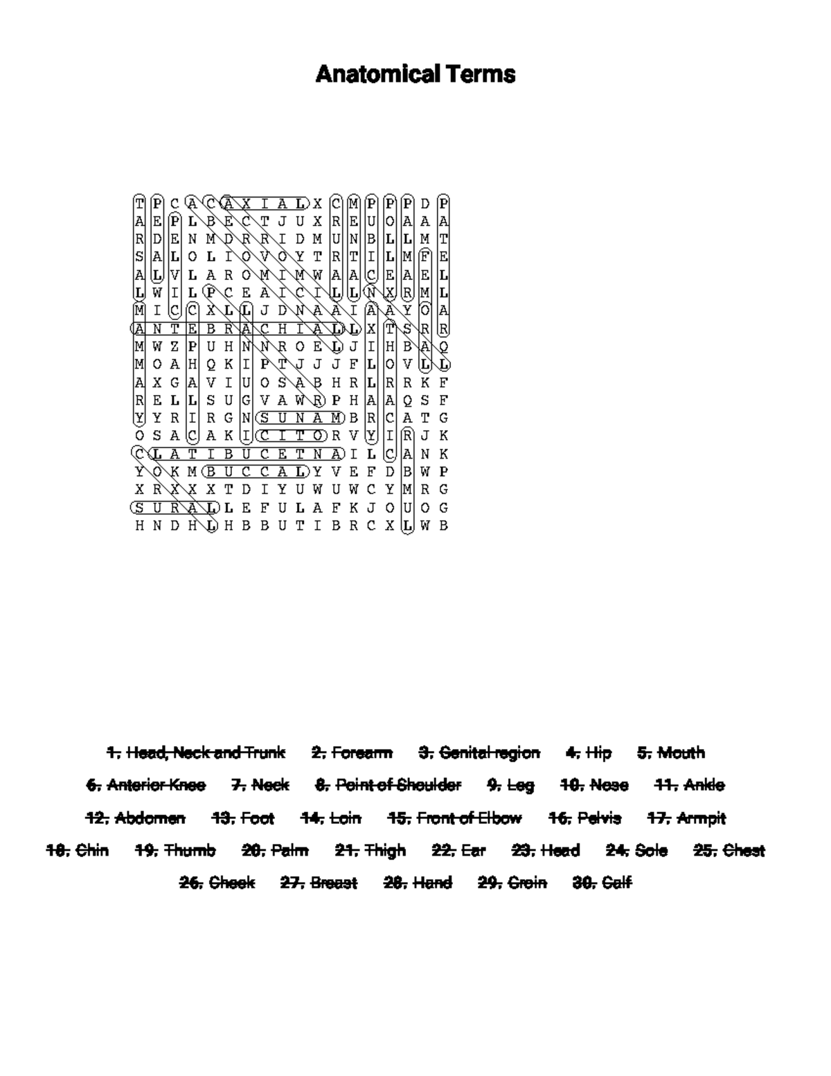 Anatomical Terms - Word Search Labs - Anatomical Terms T P C A C A X I ...
