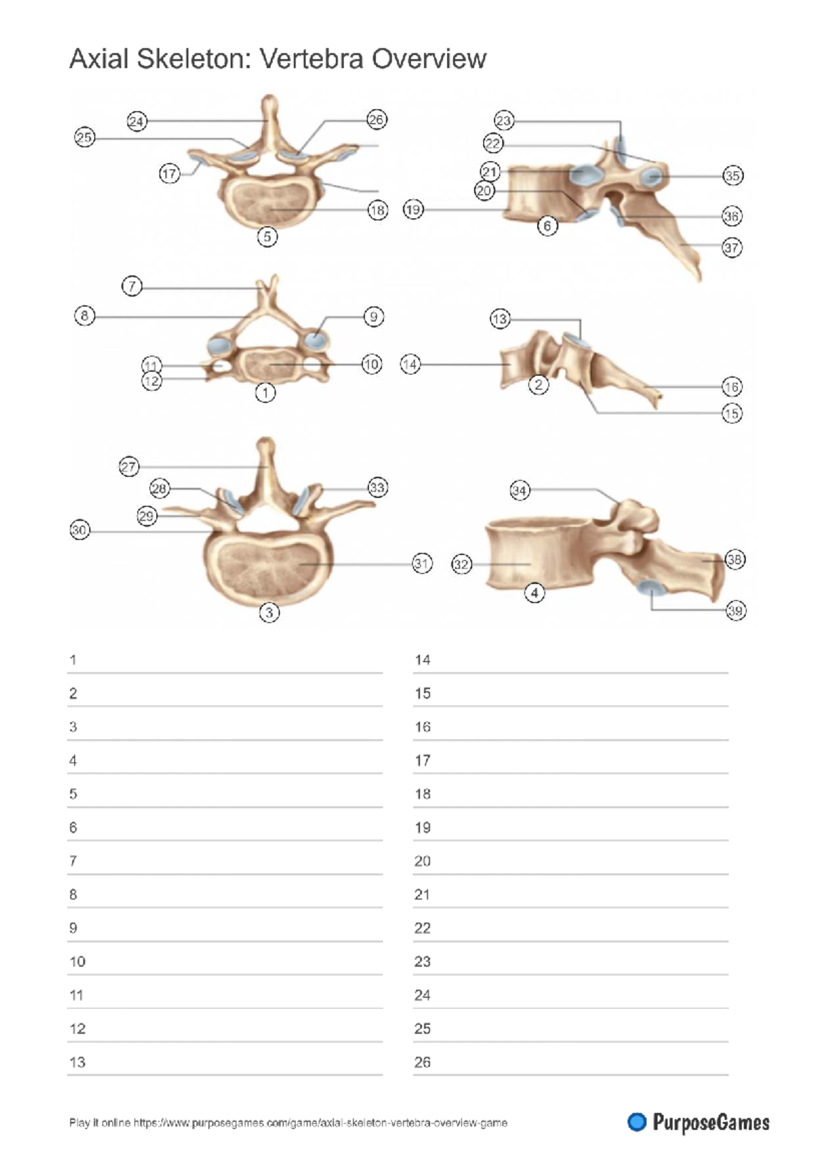 Worksheet - Helps with memorization of skeletal bones - BIOL2001C ...