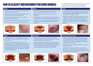 IQN Theoretical Examination example questions - Example questions for ...