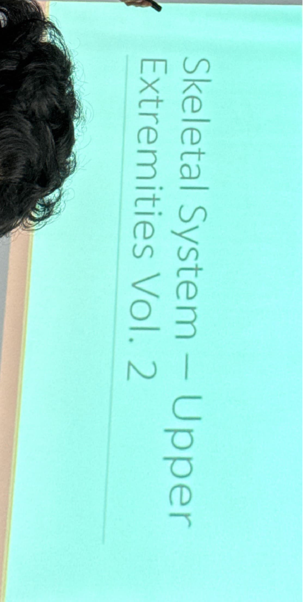 Upper Extremities Anatomy: Radius and Ulna Overview (Vol. 2) - Studocu