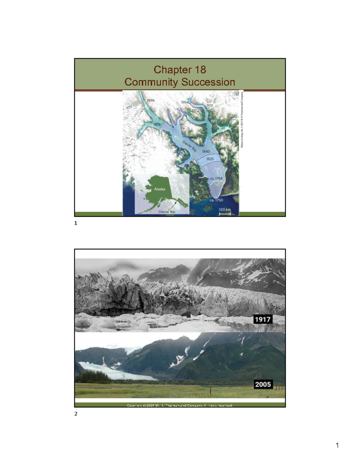 Chapter 18: Community Succession and Its Mechanisms - Chapter 18 ...