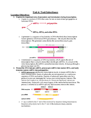 Mammalian Dive Response - Lab 9: Dive Response In this lab you will ...