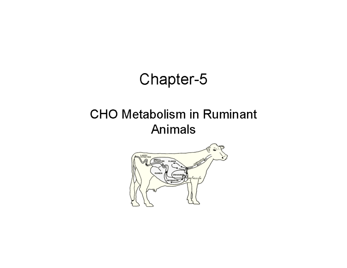 Ans 415 - CHO Metabolism in Ruminants: VFA Production & Pathways - Studocu