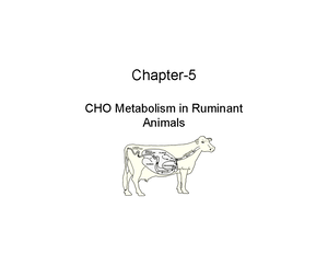 Chapter 3: CHO Digestion & Metabolism in Monogastric Animals (NSC ...