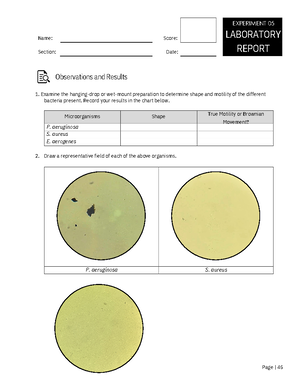 Bacteriology Flow Chart Identification of Bacteria - GRAM STAIN Gram ...