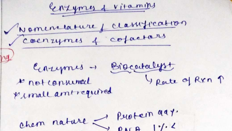 Enzymes - Nomenclature, Classification, and Kinetics Notes - Studocu