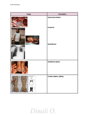 CLOT Cascade MADE EASY - CLOT CASCADE MADE EASY Coagulation factors ...
