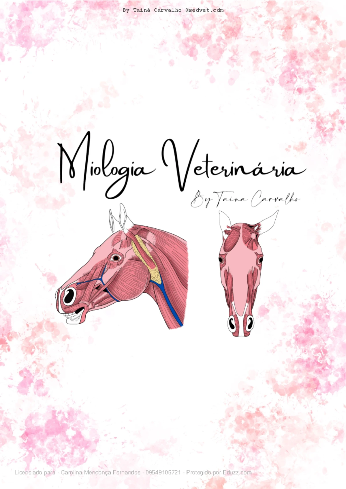 Neumocitos I y II: Estructura y Funciones en Alvéolos Pulmonares - Studocu