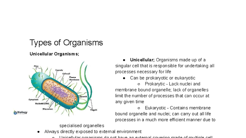 Organisms - Unicellular & Multicellular Types (BIO 101 Study Notes ...
