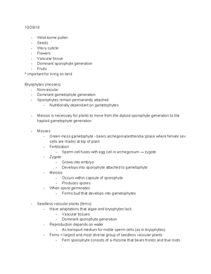Student exploration Graphing Skills SE Key Gizmos Explore Learning ...