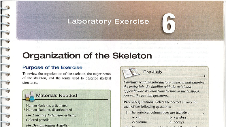 Laboratory Exercise 6: Organization of the Human Skeleton - Studocu