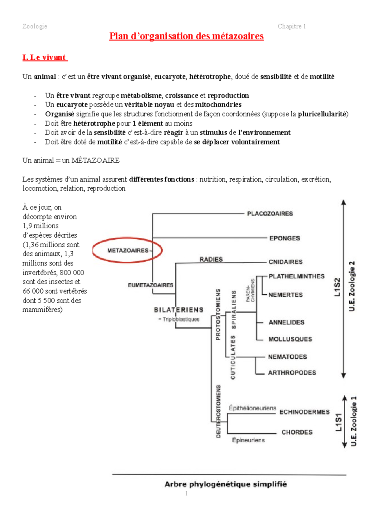 Chapitre 1 - Organisation et Origine des Métazoaires en Biologie - Studocu