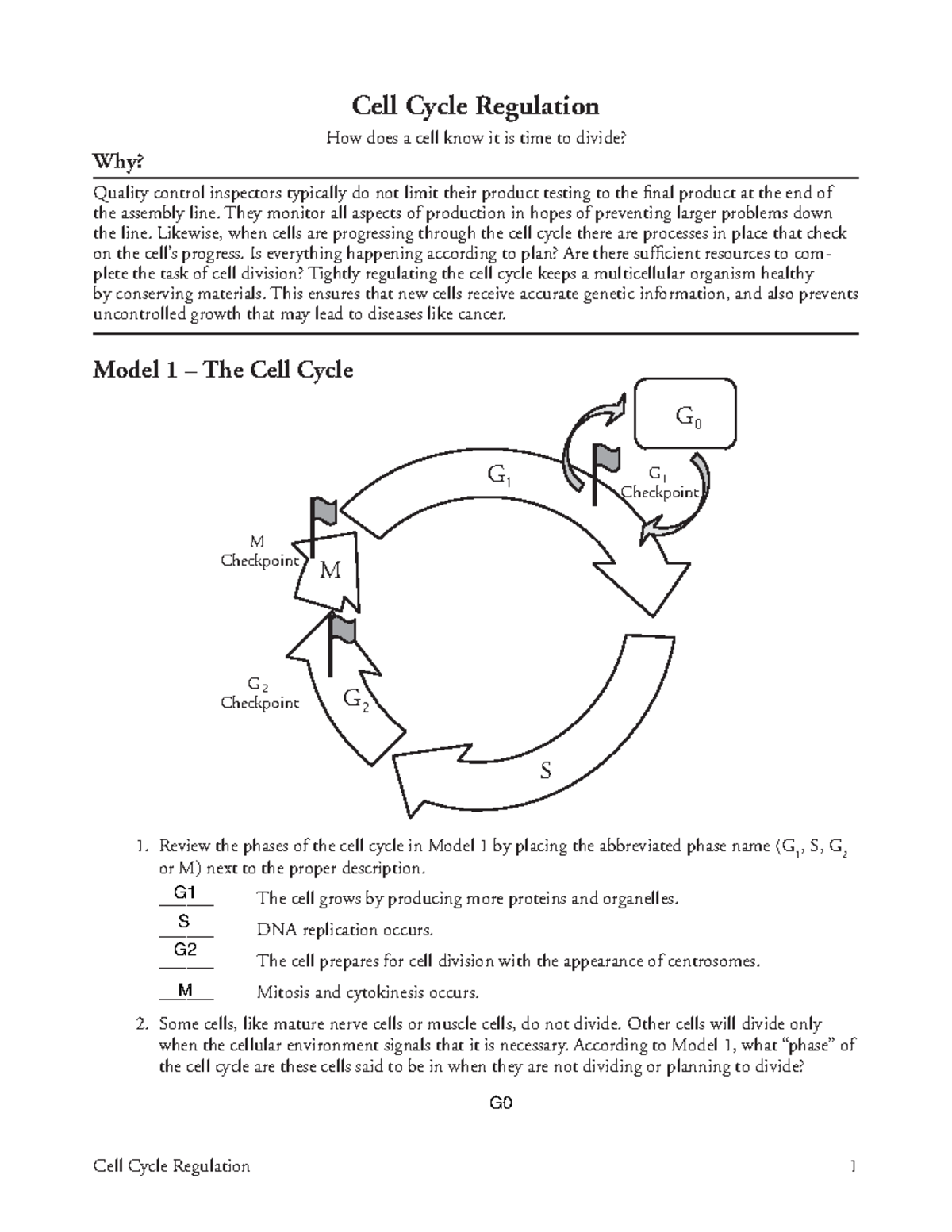 Cell Cycle Regulation Overview for Biology 18 Course - Study Notes ...