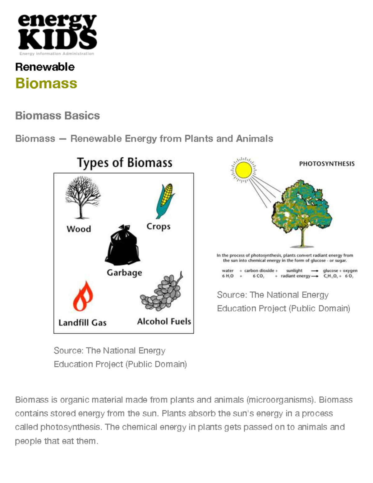 EIA 101: Biomass Basics and Renewable Energy Overview - Studocu
