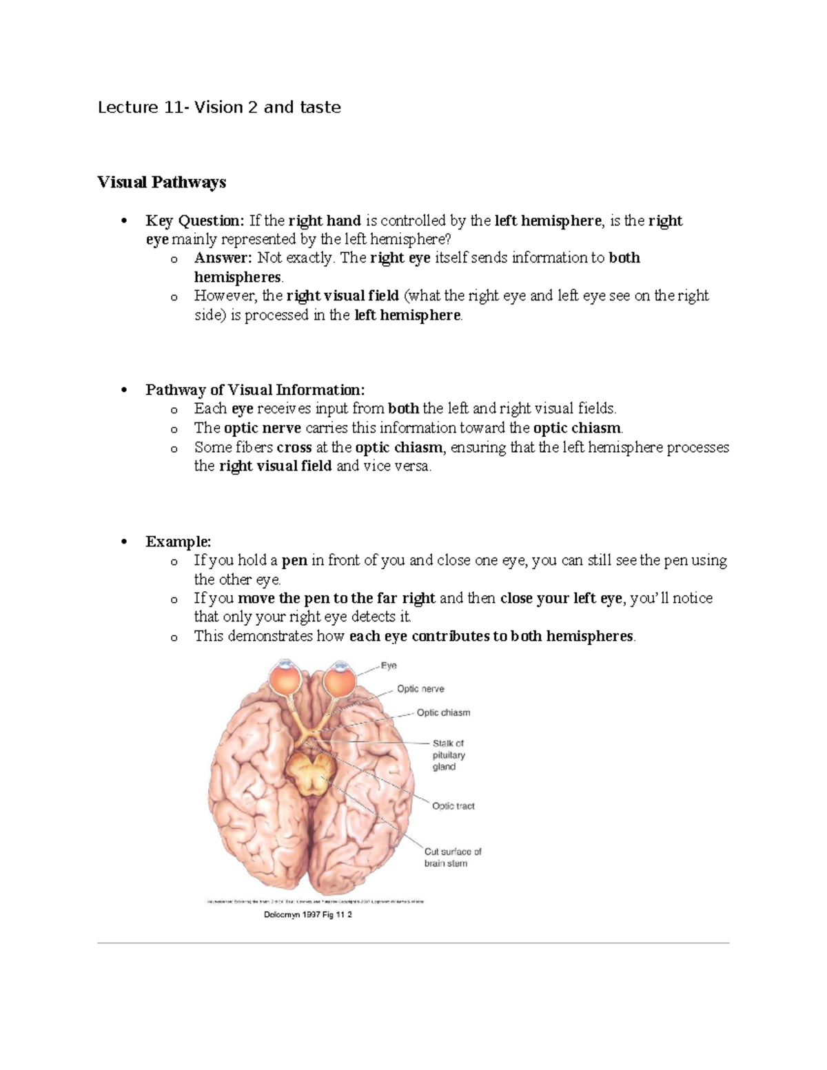 BIO1130 Lecture 11: Vision 2 and Taste Pathways Explained - Studocu