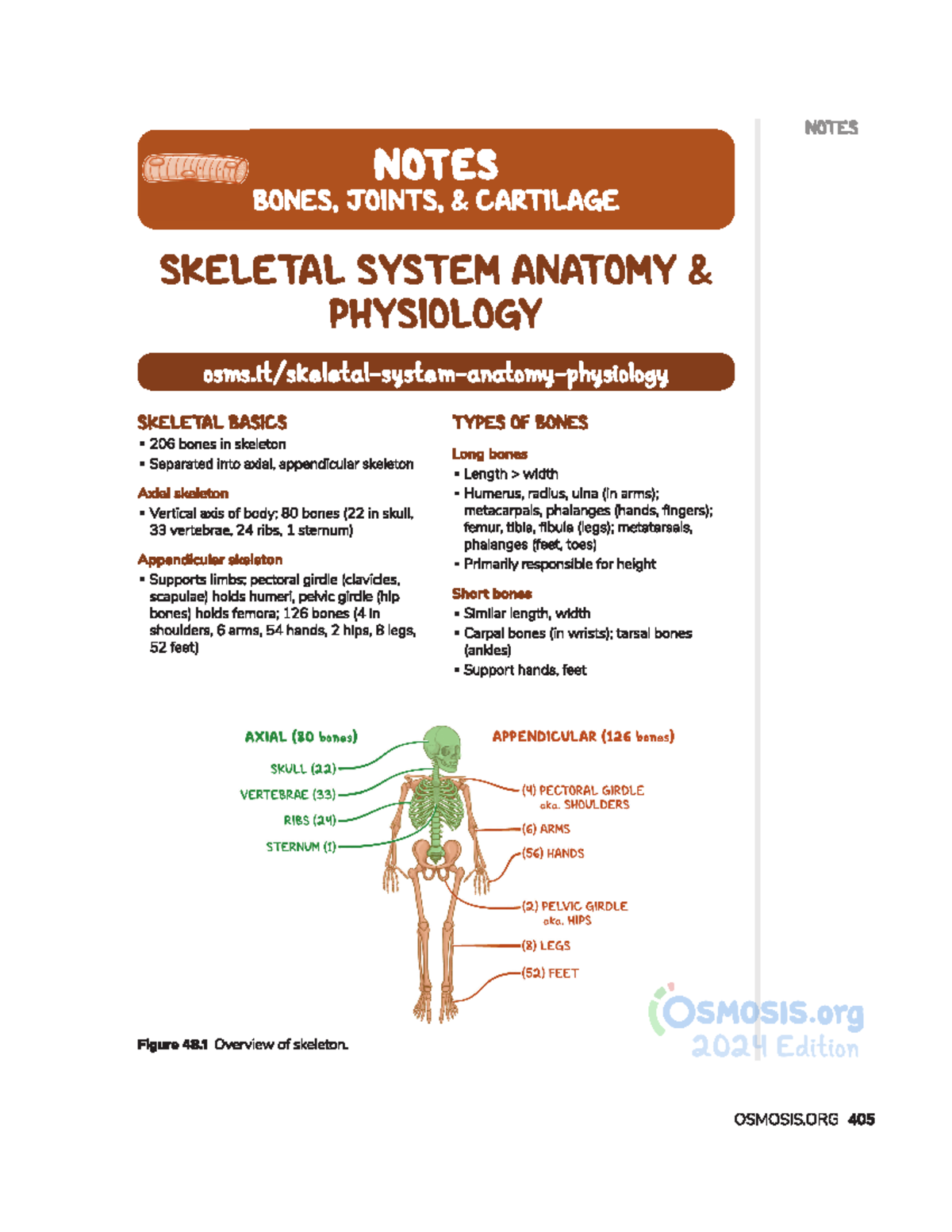 Bones Joints and Cartilage Notes Diagrams & Illustrations Osmosis ...