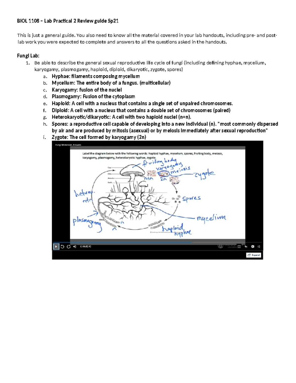 BIOL 1108 Lab Practical II Review Guide Sp21: Fungi & Animal Kingdom ...