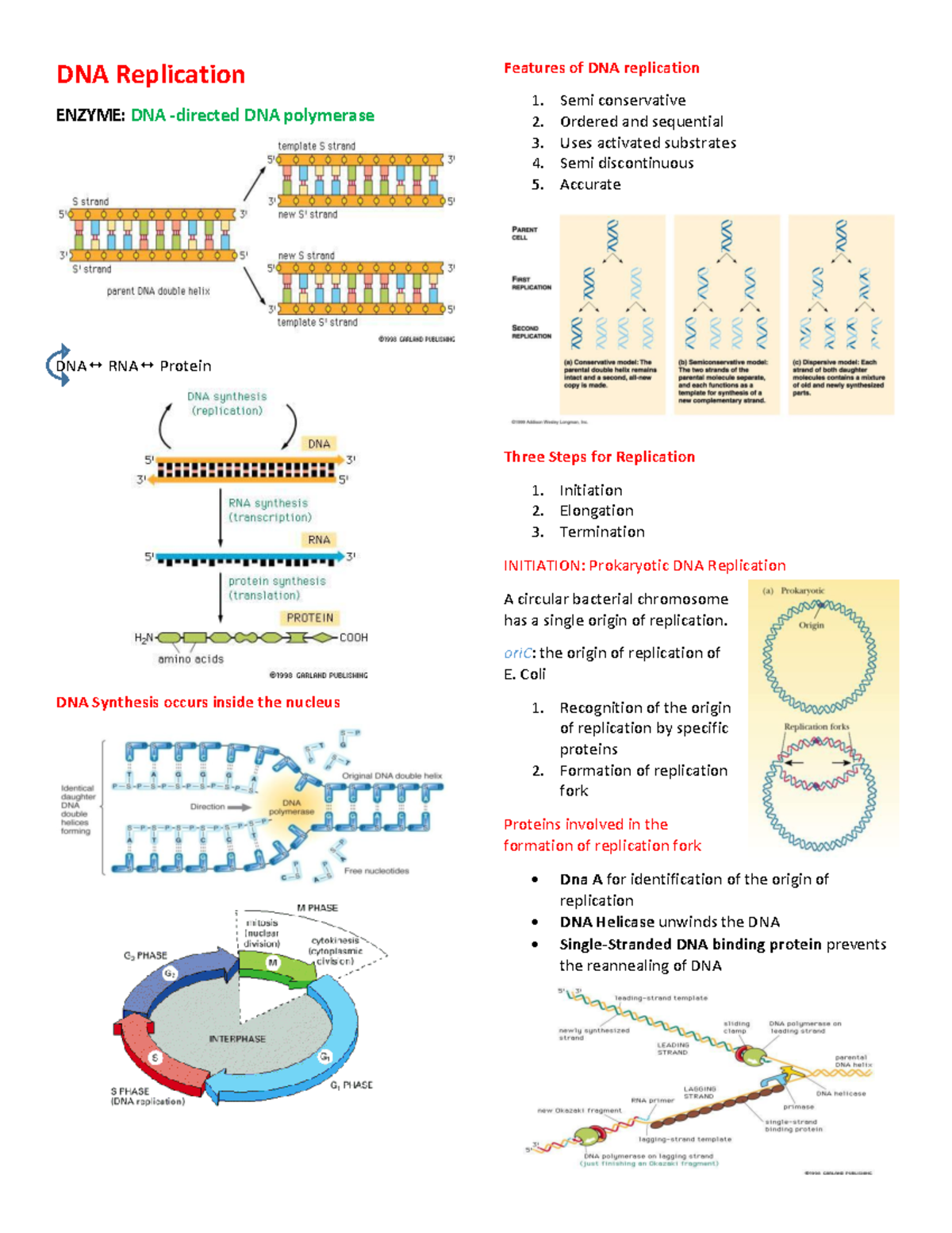 Biochem Lec: DNA Replication, Transcription & Translation Overview ...