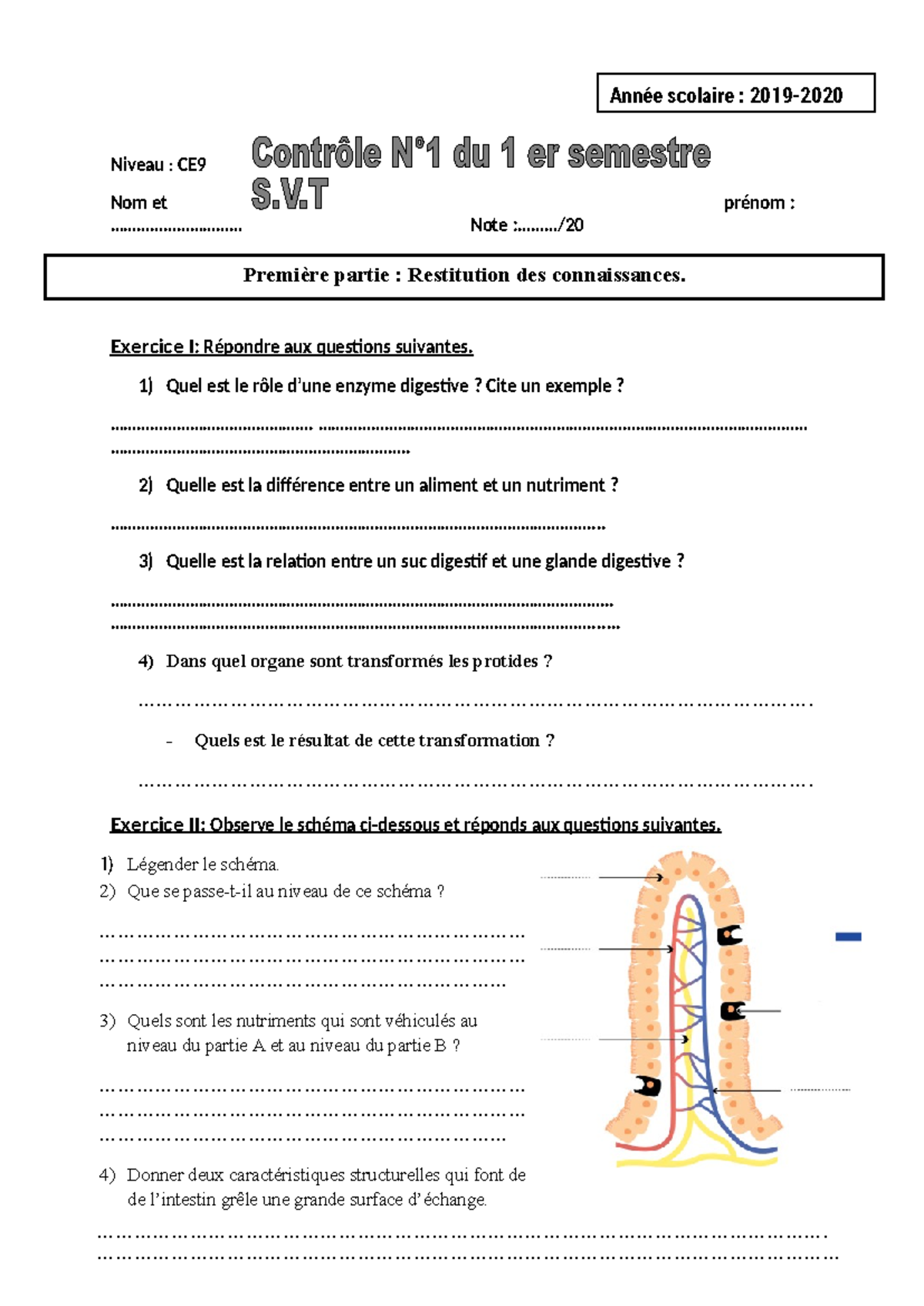 Devoir N1 Semestre 1 SVT 3AC : Exercice sur la Digestion et les ...