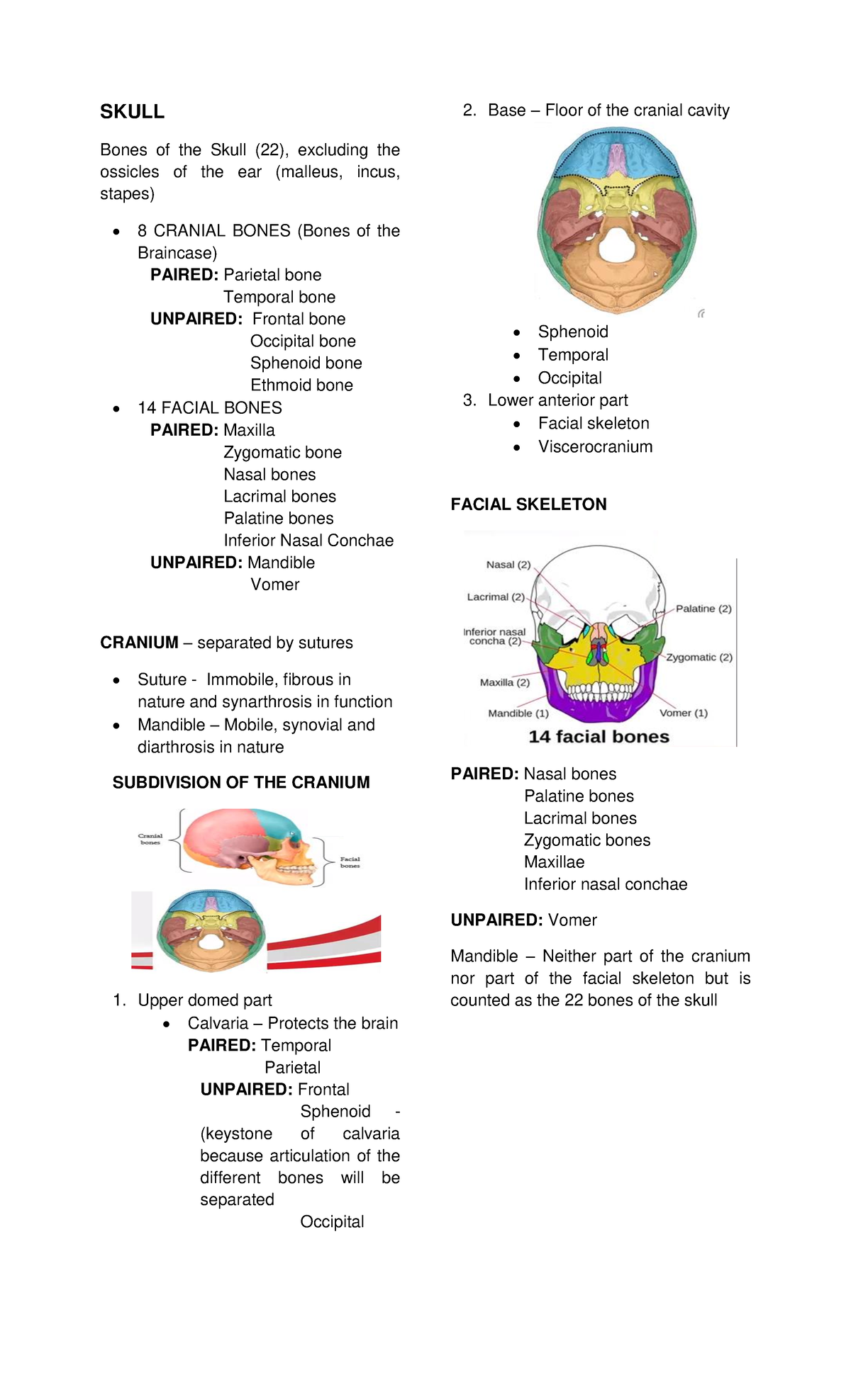 Skull Anatomy: Detailed Overview of Cranial and Facial Bones - Studocu