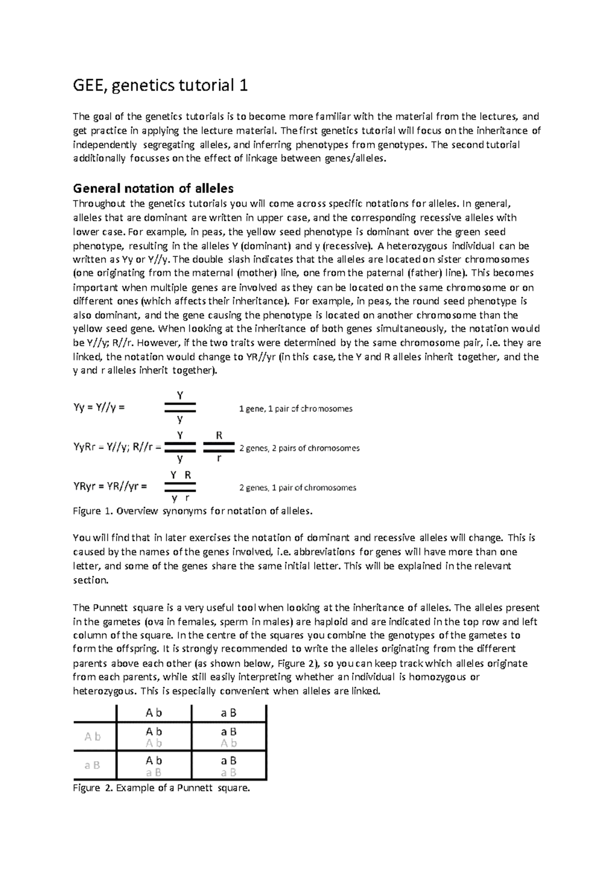 GEE Genetics Tutorial 1: Inheritance & Punnett Squares 2024 - Studeersnel