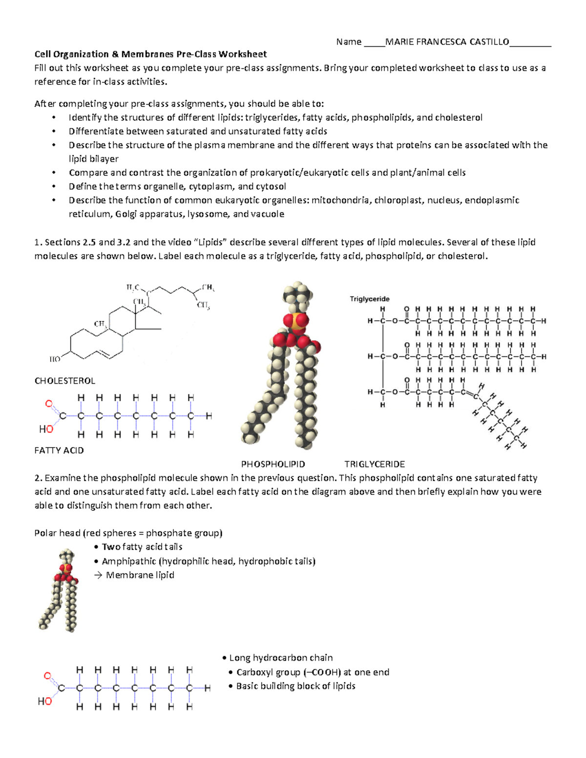 Cells & Membranes Worksheet (BIO 101) - Week 2a - Studocu