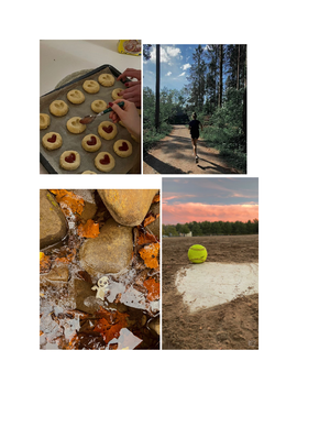 Stages of mitosis in garlic root tip cells - Sizes of A. sativum root ...