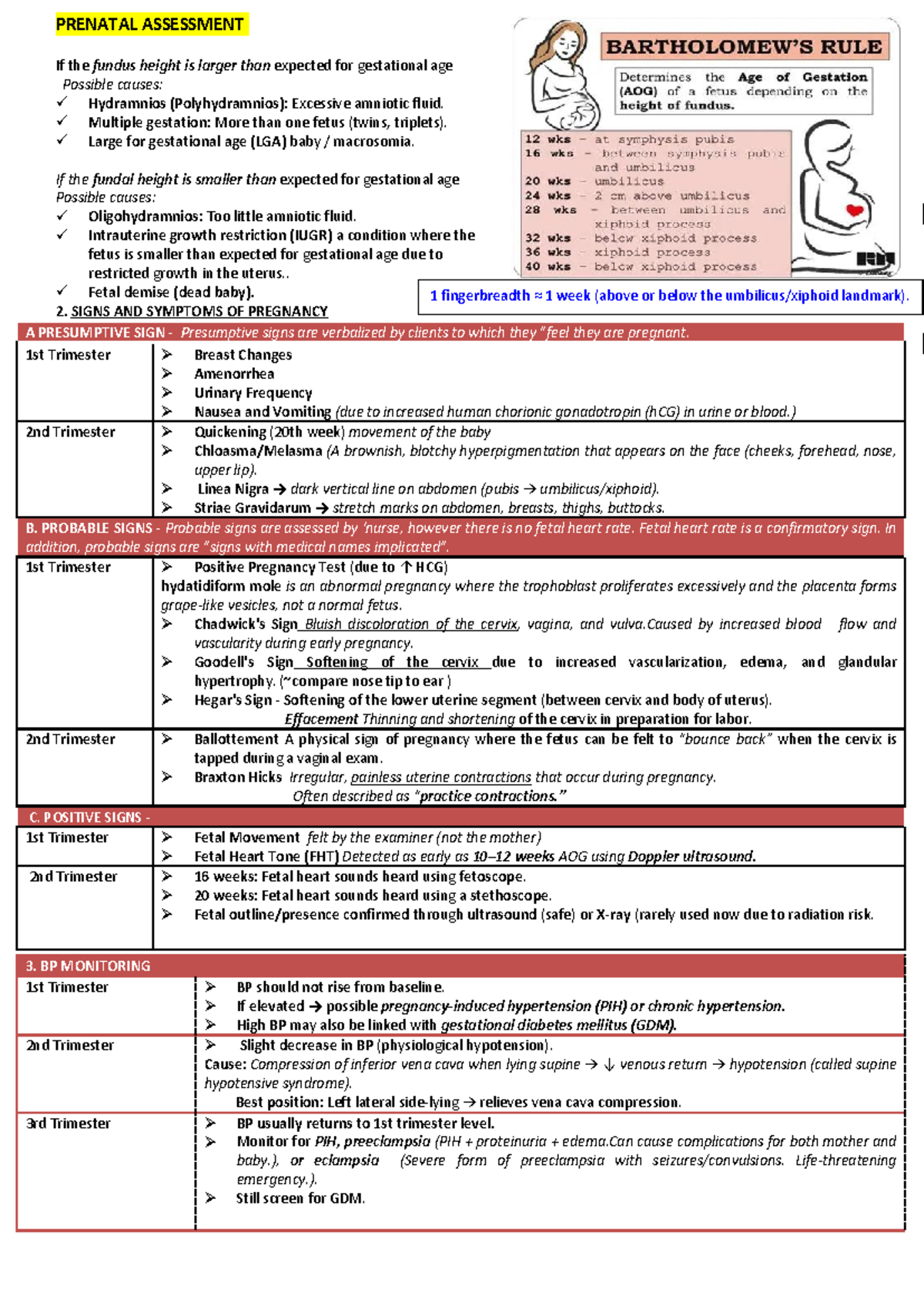 Prenatal Assessment: Understanding Fundal Height and Signs of Pregnancy ...