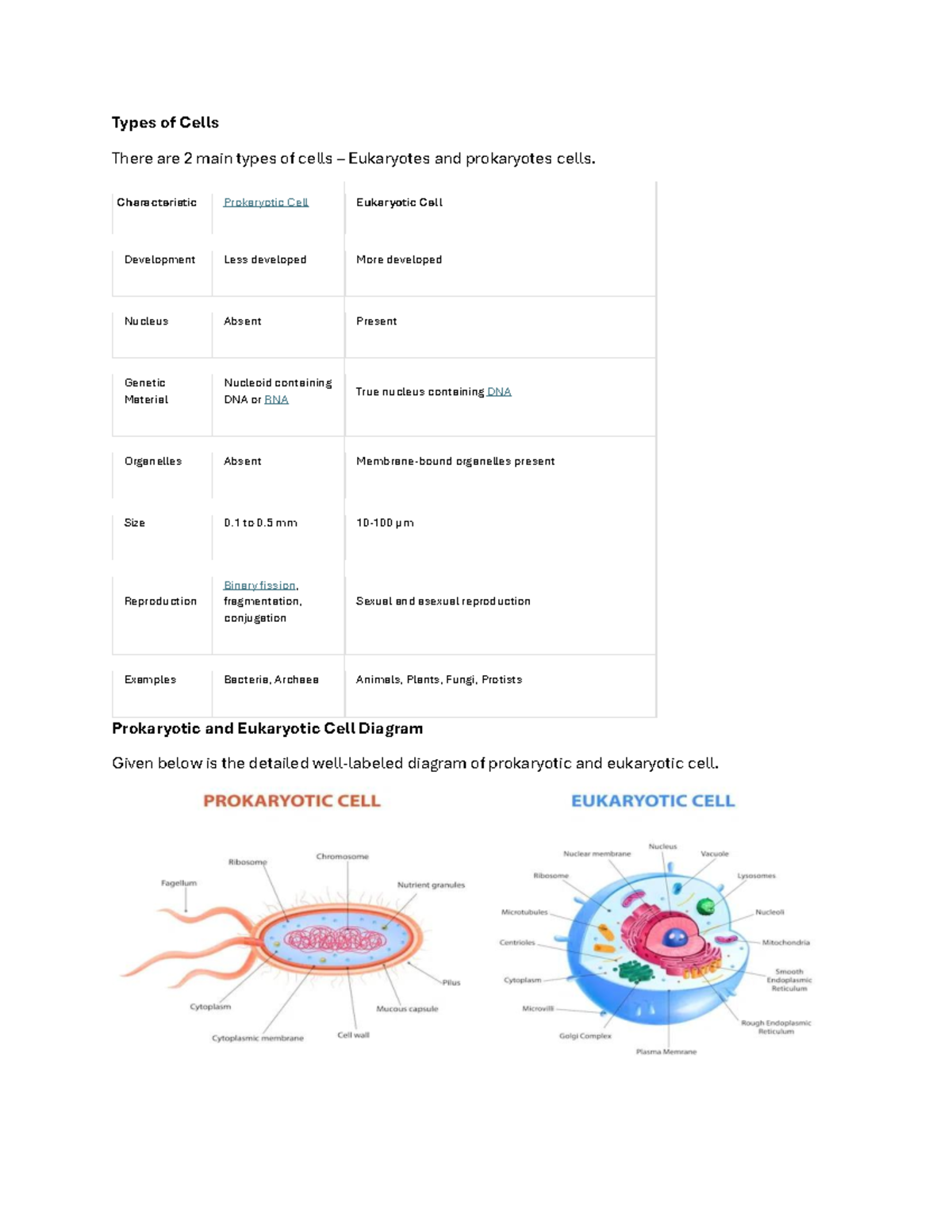 Cell - Summary Biochemistry - Types of Cells There are 2 main types of ...