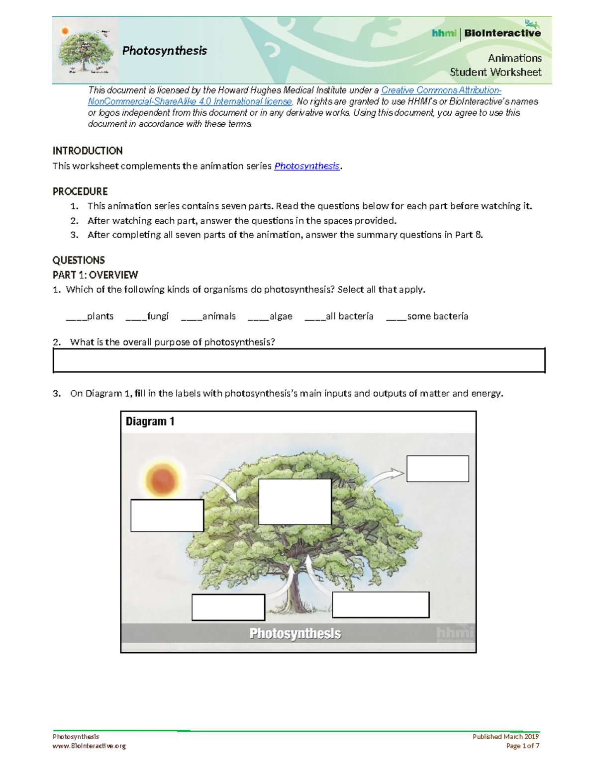 642593670 HHMI Biointeractive Photosynthesis WS - Animations Student ...