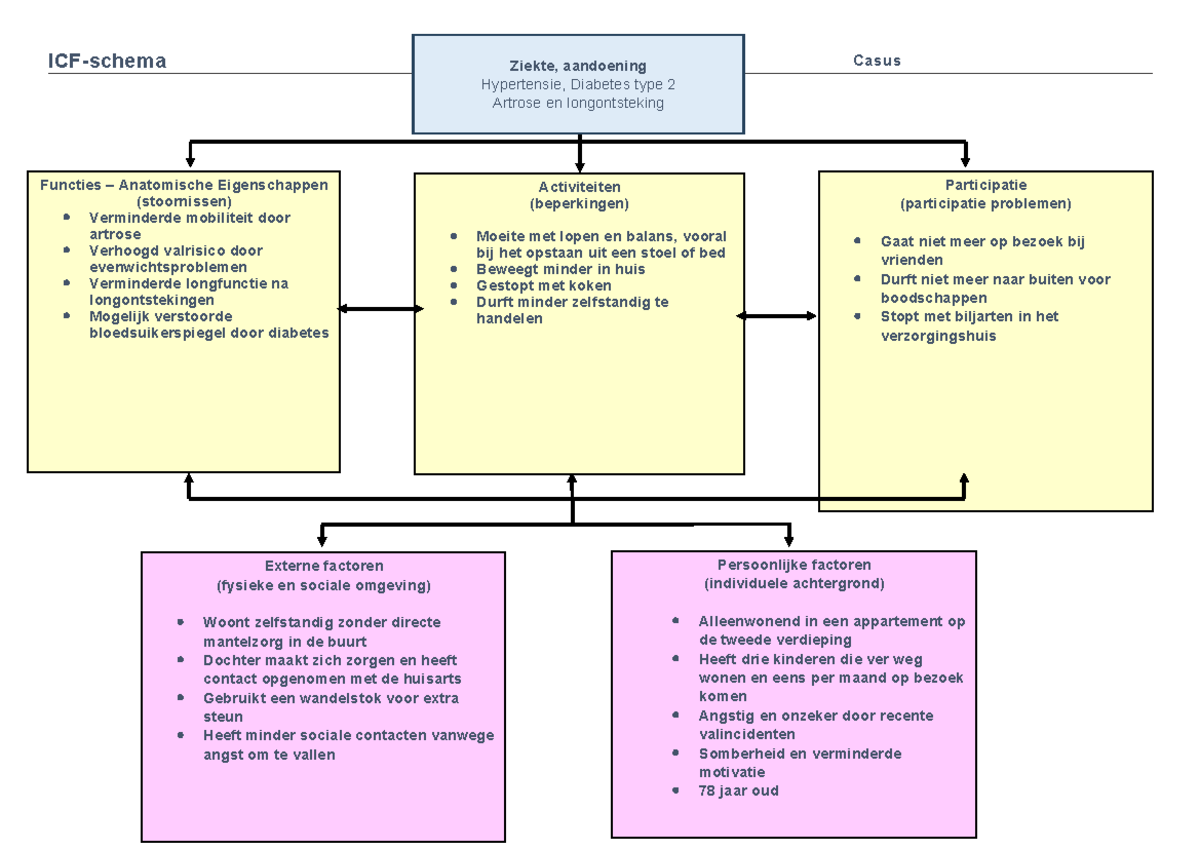 ICF-schema: Externe en Persoonlijke Factoren in Zorgprofessionals ...
