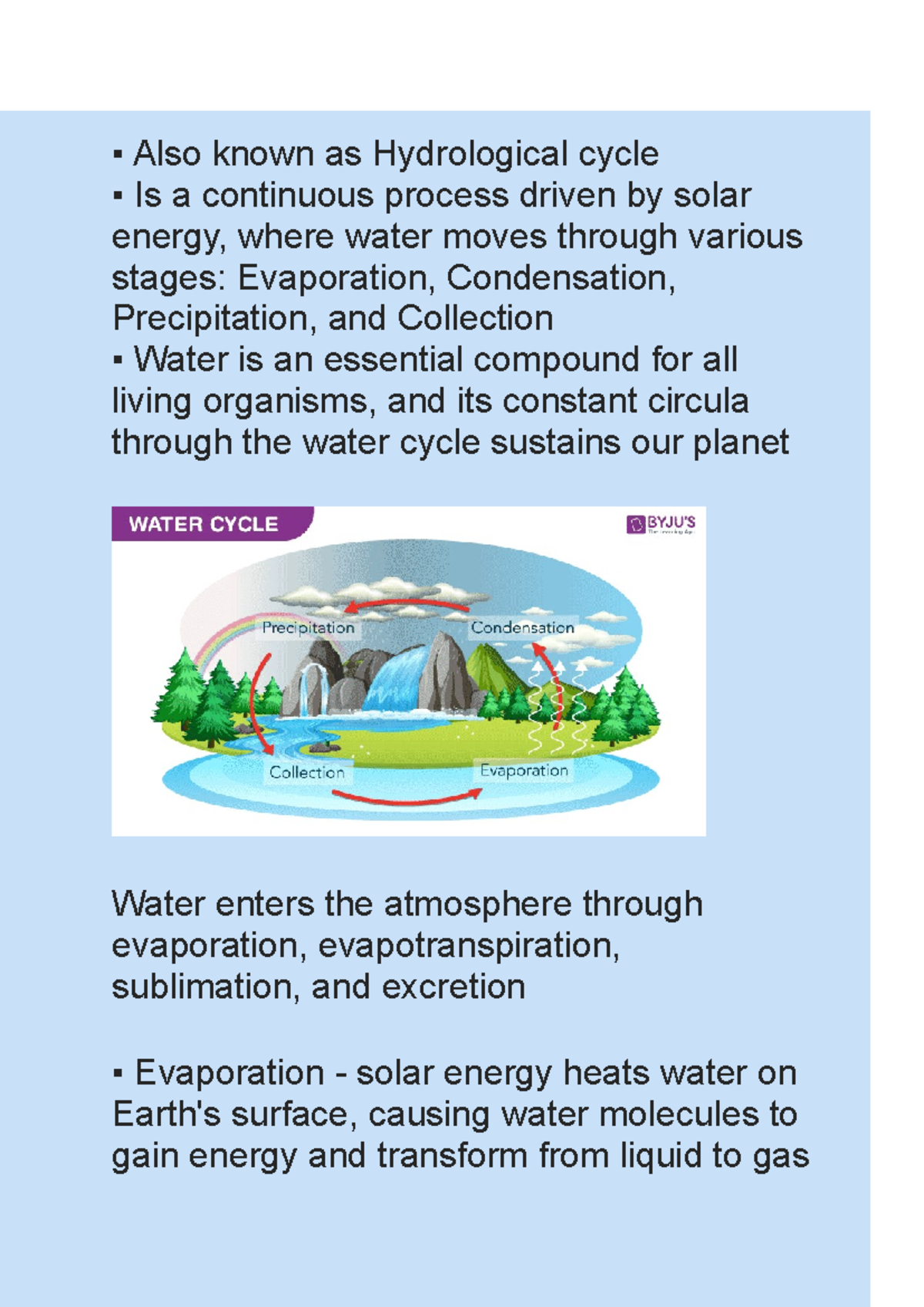 Water Cycle Overview: Stages and Importance in Ecosystems - Studocu