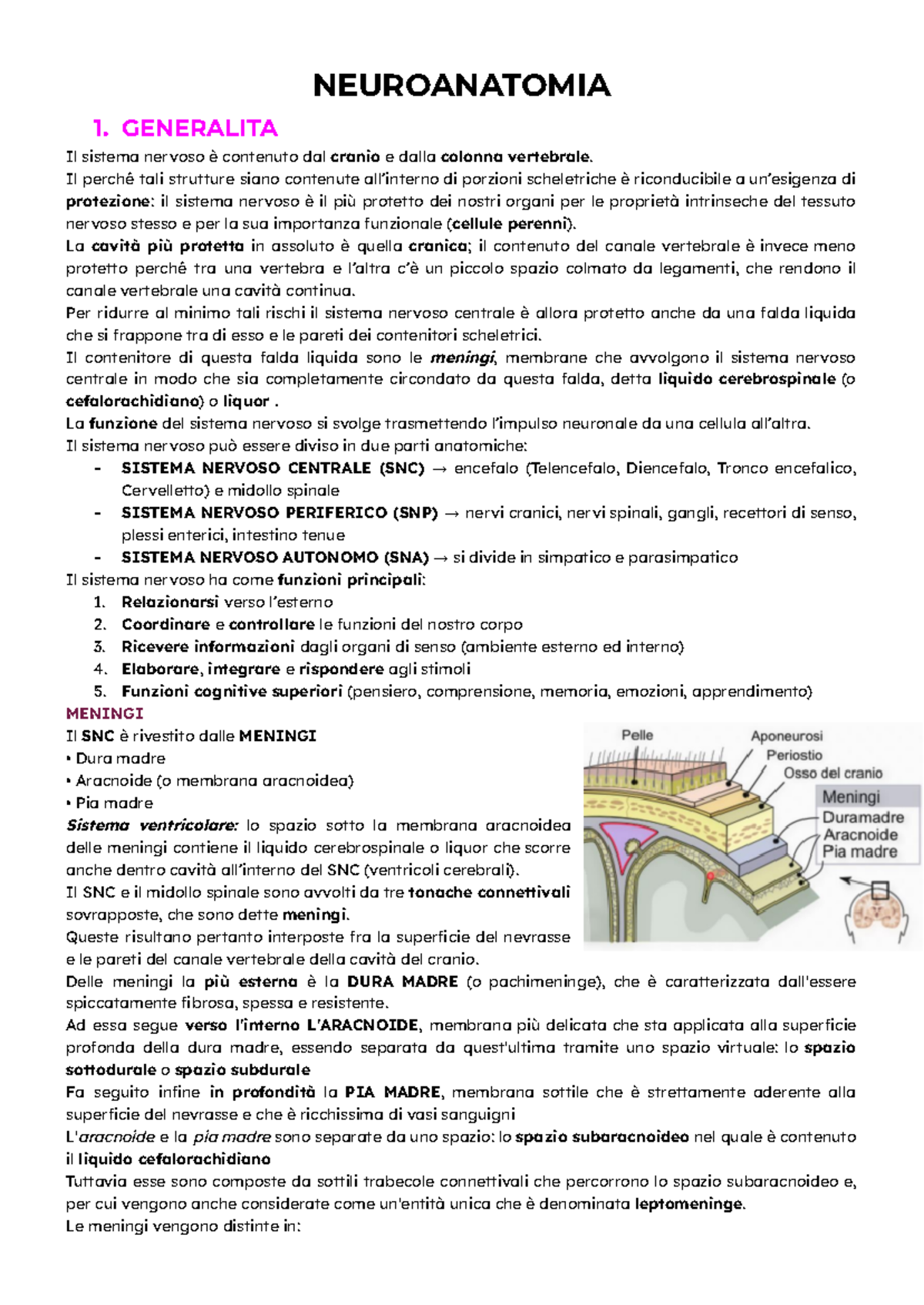 Neuroanatomia DEF - NEUROANATOMIA 1. GENERALITA Il sistema nervoso è ...