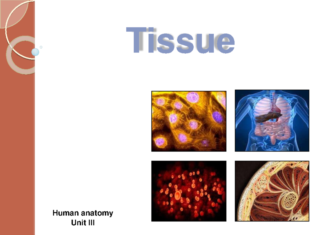 BSC Nursing 1st Year: Human Tissue Overview and Classification Notes ...