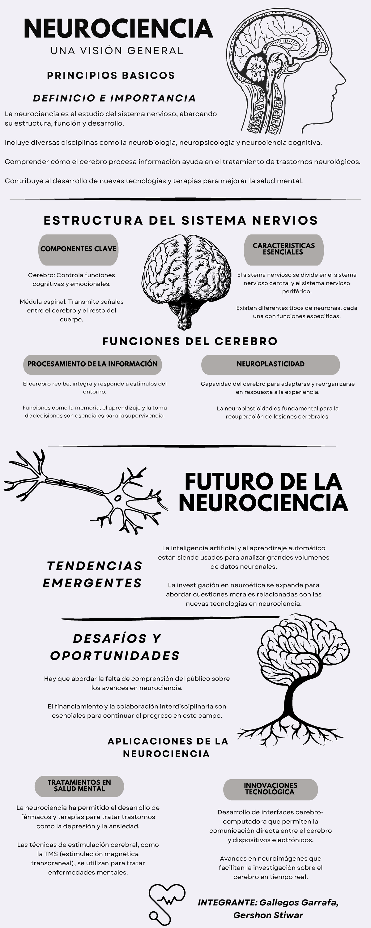 Infografía sobre Neurociencia: Principios y Aplicaciones Clave - Studocu
