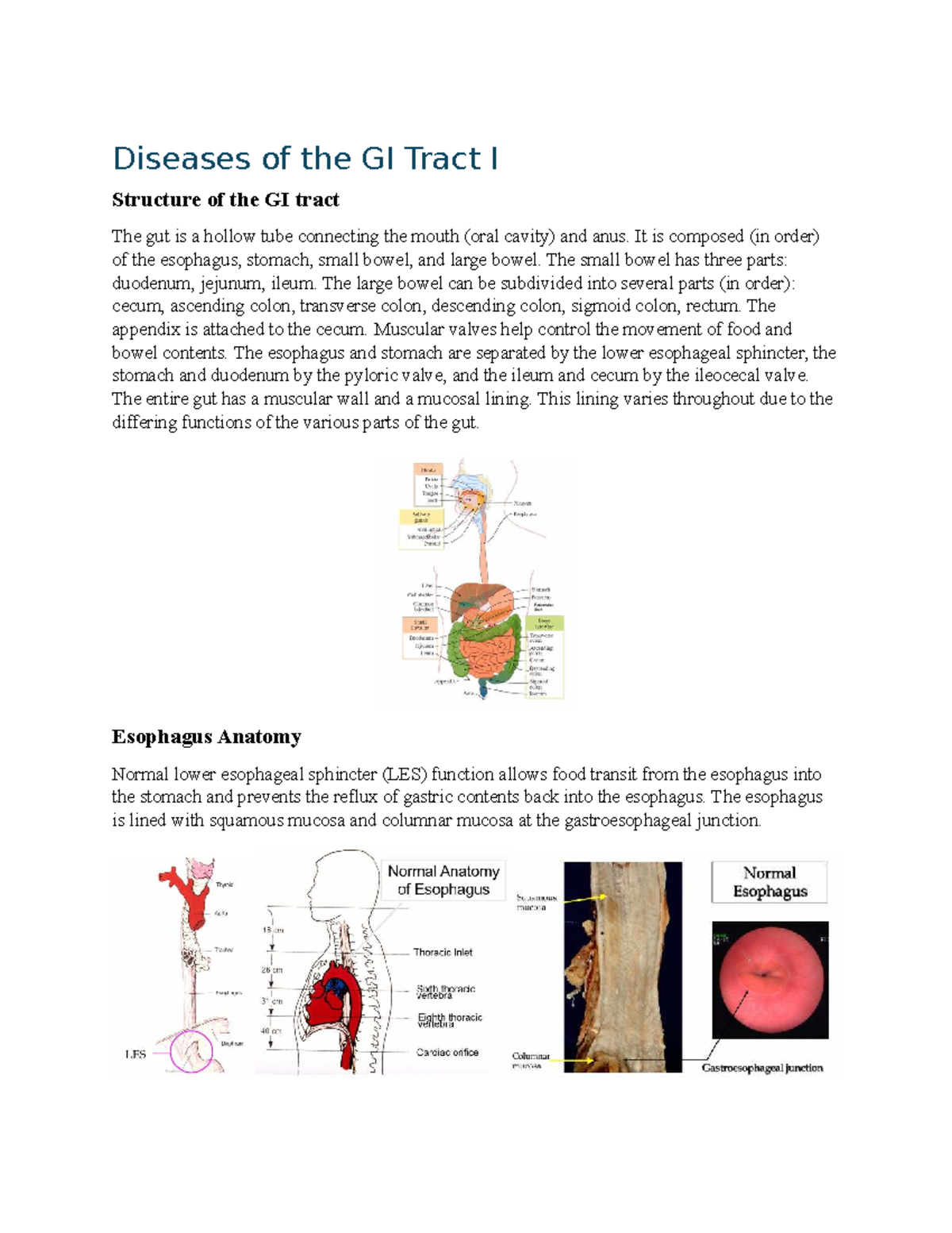 GI Tract Diseases Notes (Course Code: GI101) - Studocu