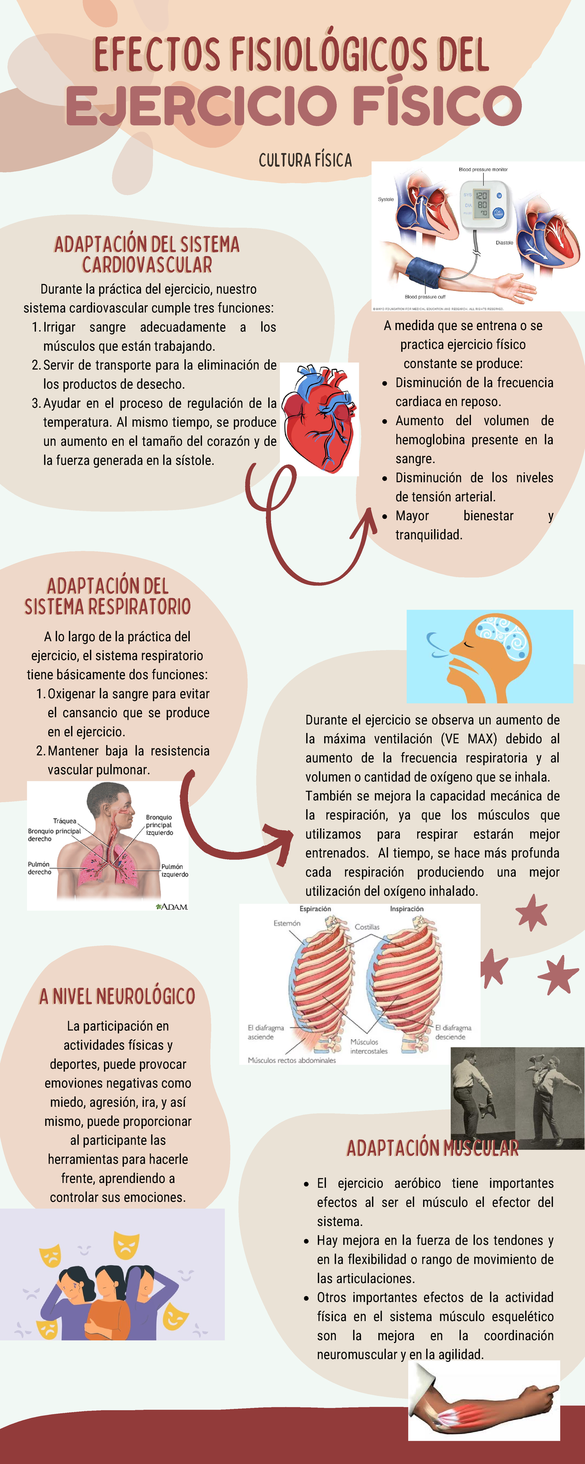 Efectos fisiológicos del Ejercicio físico - A NIVEL NEUROLÓGICOA NIVEL NEUROLÓGICO EJERCICIO ...