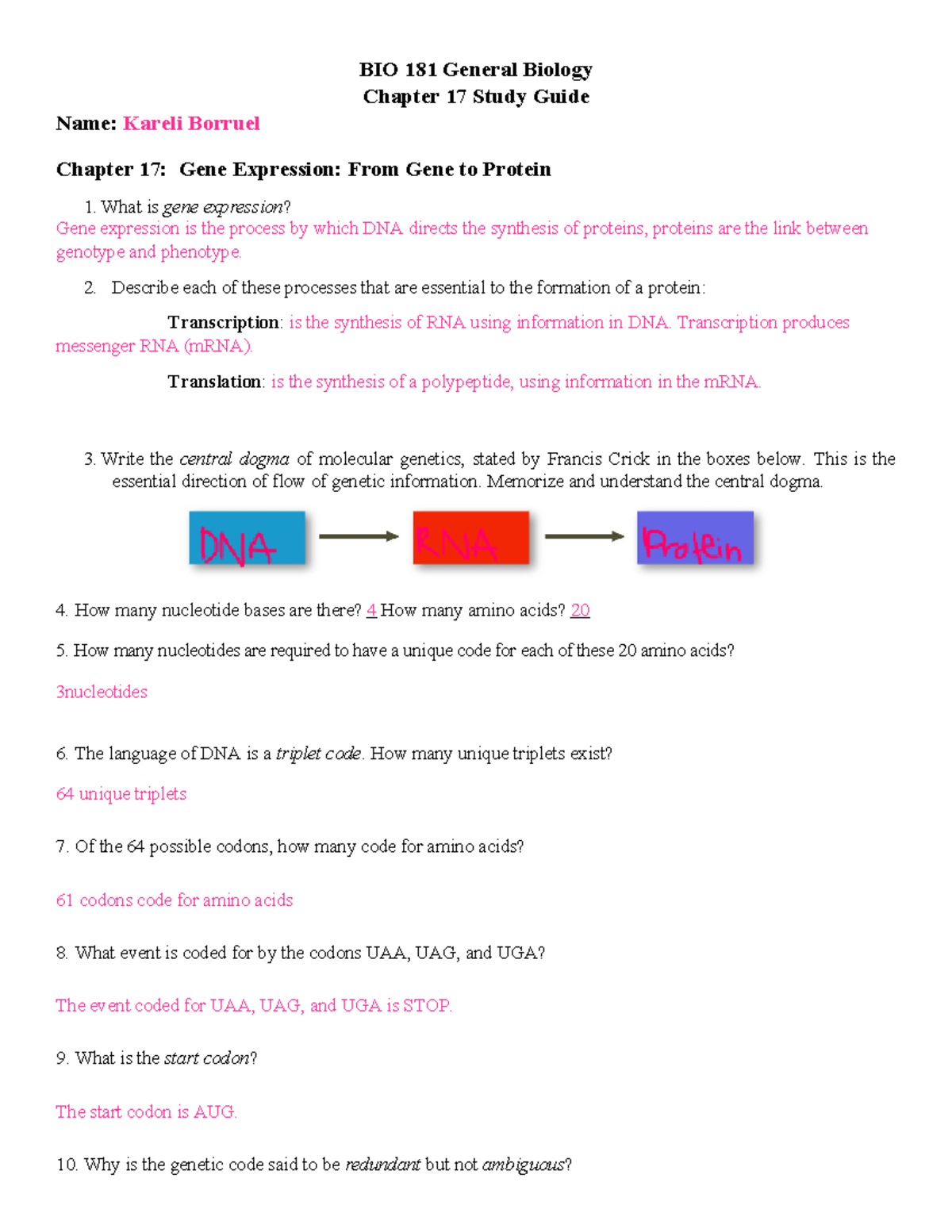 Chapter 17 Study Guide F23 - BIO 181 General Biology Chapter 17 Study ...