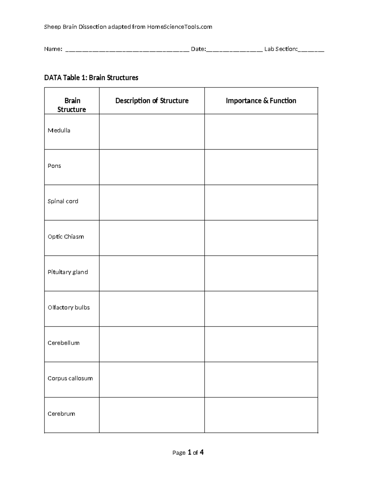 Sheep Brain Dissection Lab Data & Questions (BIO 101) - Studocu