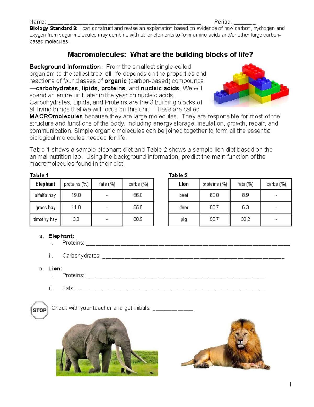 Biology 9: Macromolecules - Building Blocks of Life Overview - Studocu